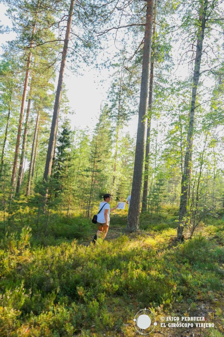 Jugando a orientarse por los bosques de Finlandia