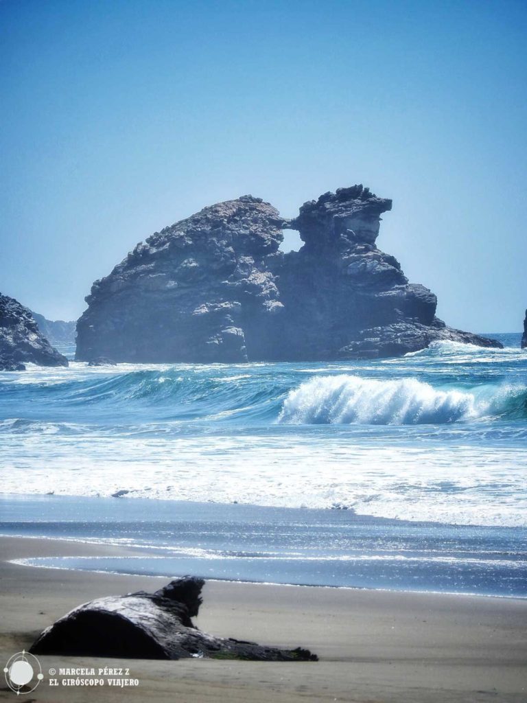 Reserva ecoturística La Ventanilla | Oaxaca | Excursiones México